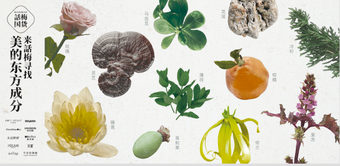 美妆集合店进入新拐点 HARMAY話梅放慢开店打造生活社区 - C2CC传媒